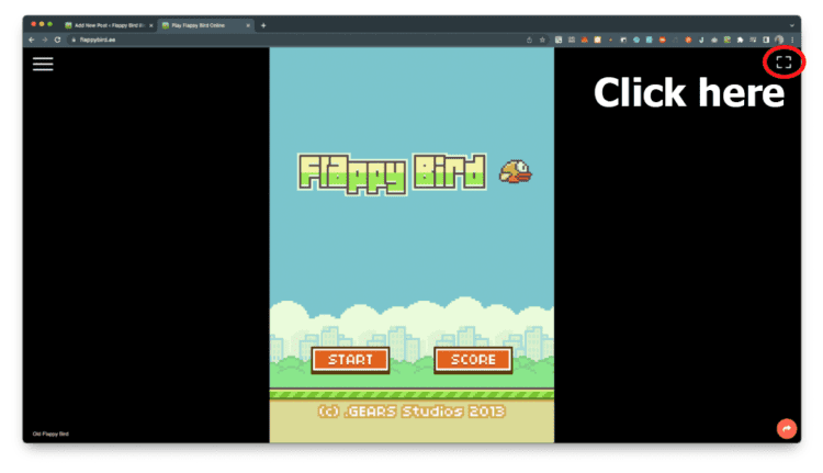 How to play Flappy Bird full screen - Play Unblocked & Free